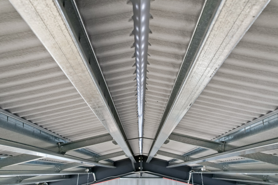 Caring for Shearing » COLORSTEEL®