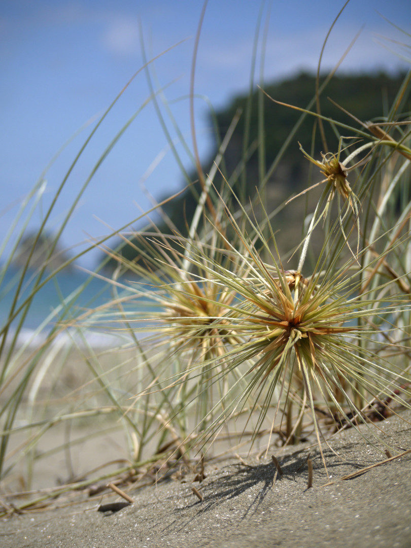 Inspiration Gallery » COLORSTEEL®