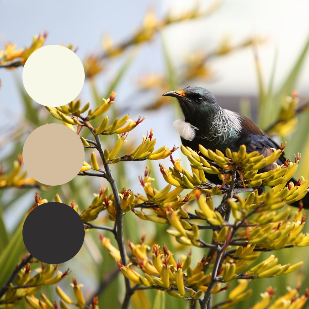 Inspiration Gallery » COLORSTEEL®