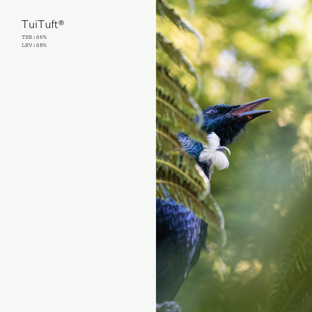 Light & Bright | New COLORSTEEL® Colours » COLORSTEEL®